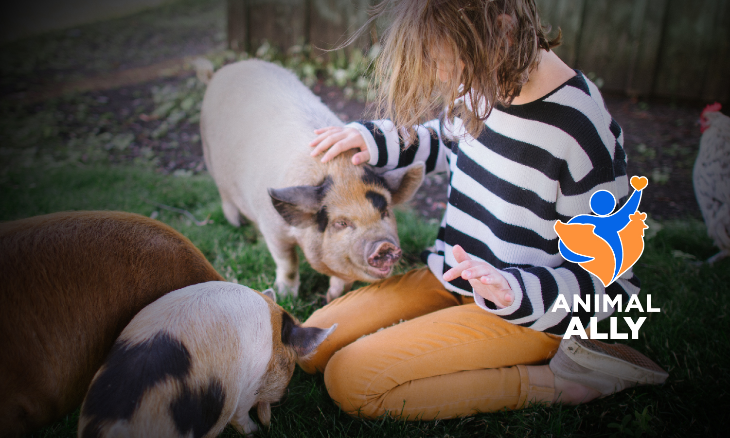 Protect Animals All Year | Mercy For Animals